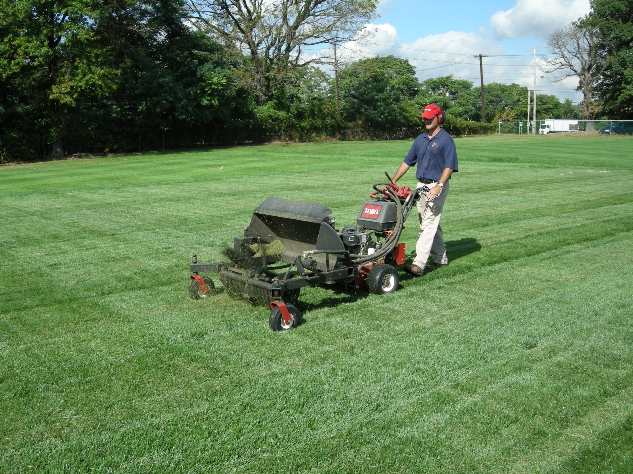 Tall Fescue Varieties for Sports Turf – Center for Turfgrass Science