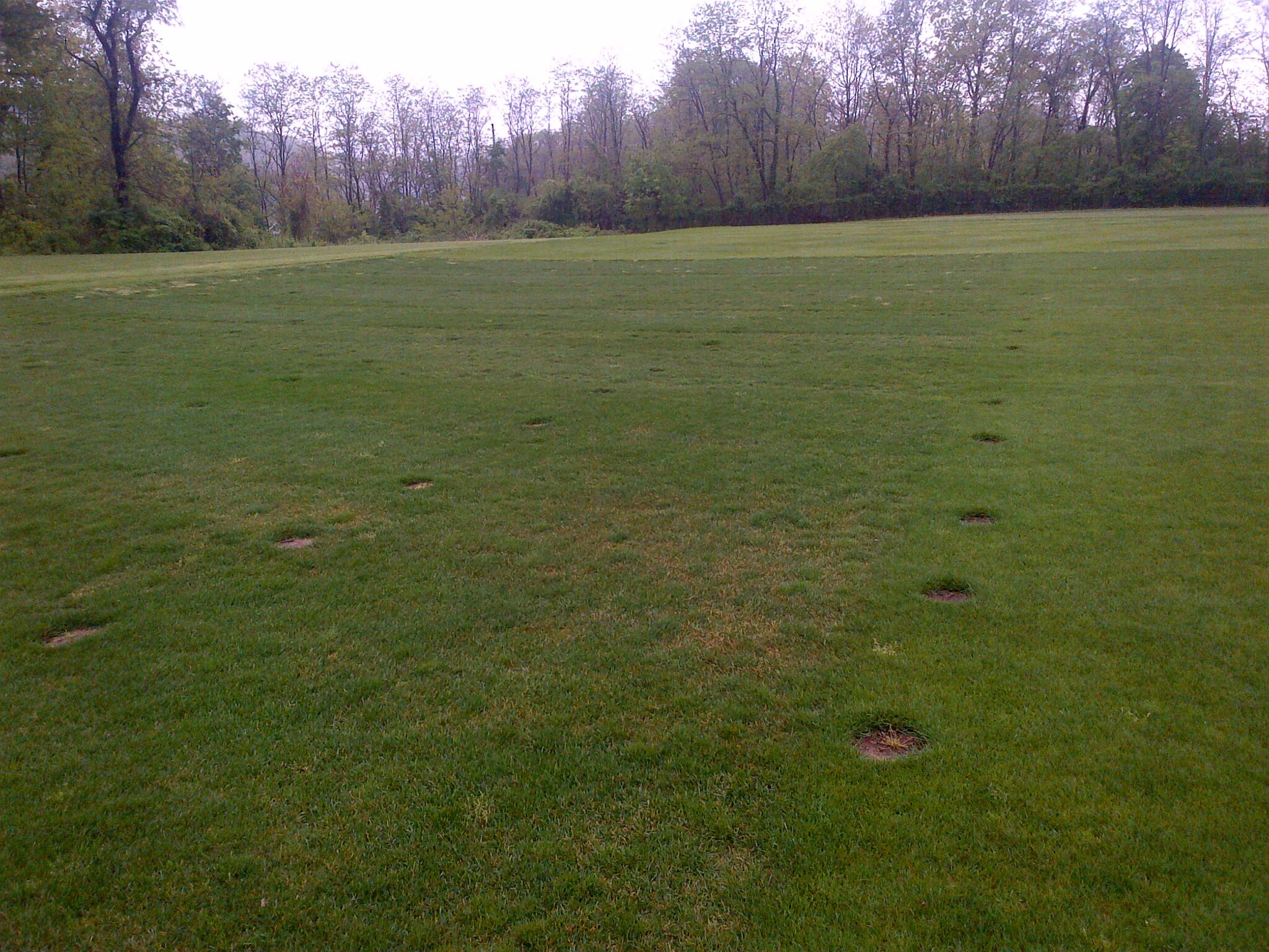 Slow Growth This Spring – Center for Turfgrass Science