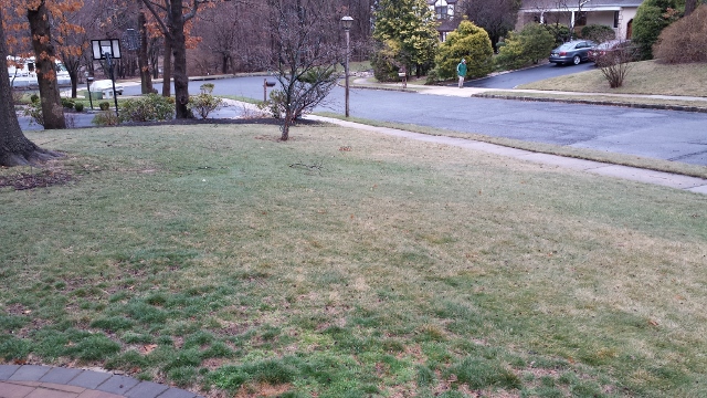 Turf Green-up Underway – Center for Turfgrass Science