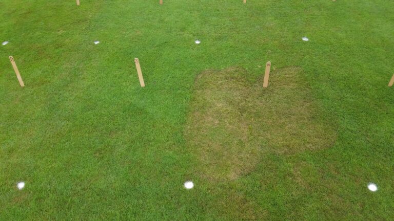 Weather Ideal for Pythium and Brown Patch – Center for Turfgrass Science