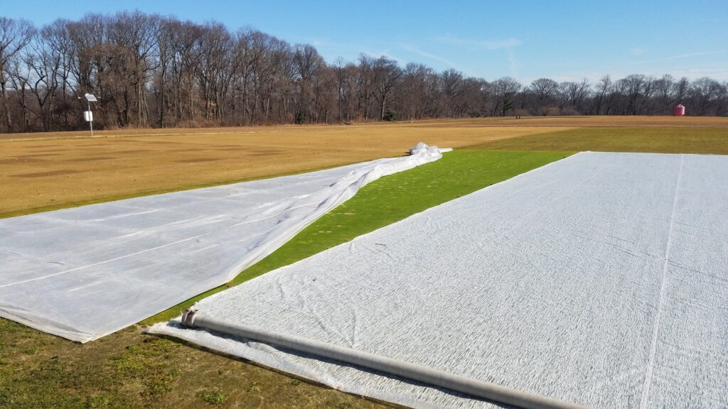 Warm Air, Cool Soil – Center for Turfgrass Science