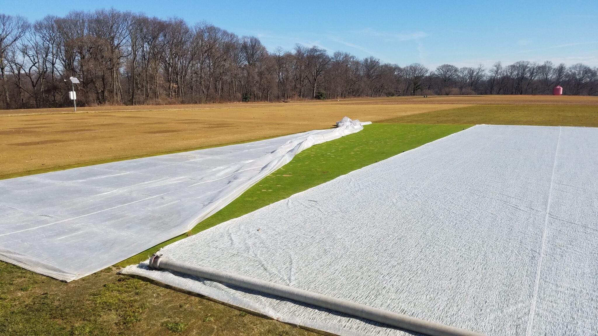 Warm Air, Cool Soil – Center for Turfgrass Science