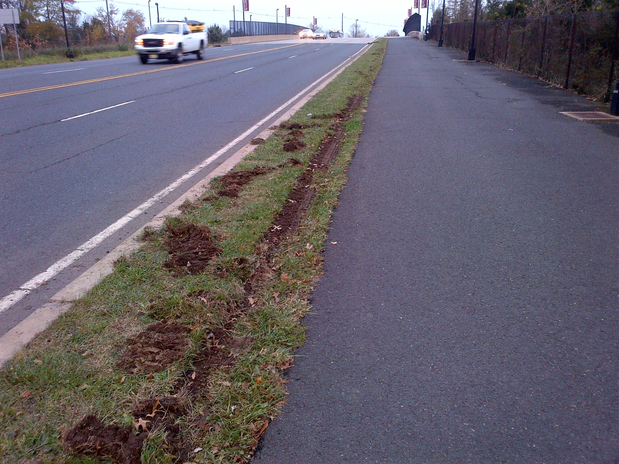 Winter Damage – Center for Turfgrass Science