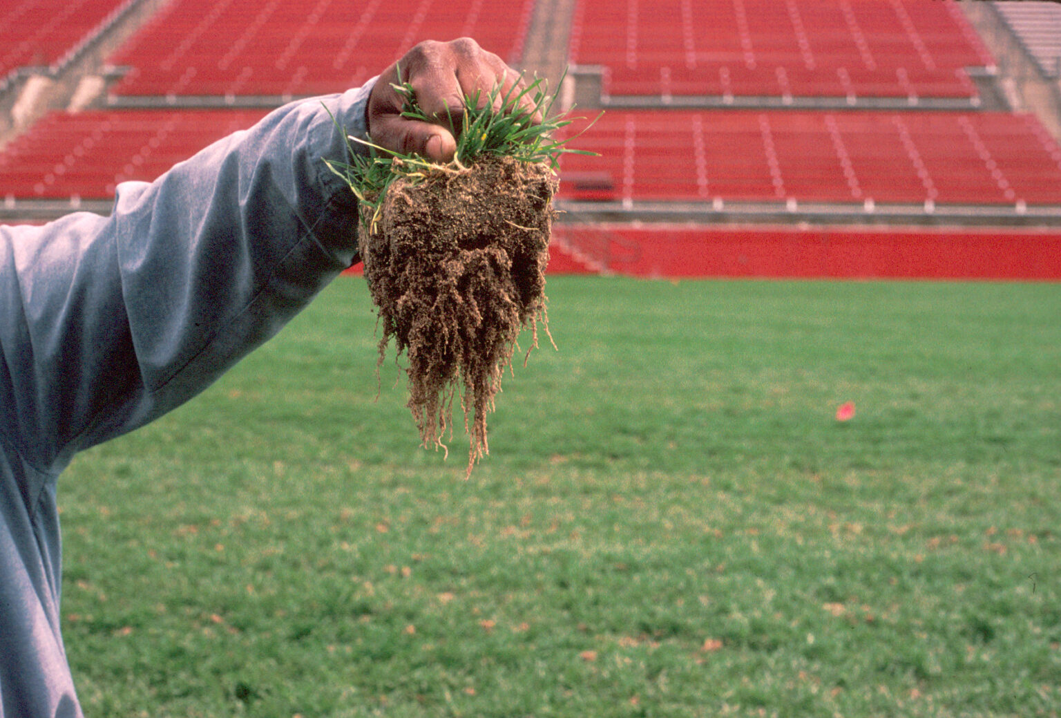 Managing Thatch – Center for Turfgrass Science