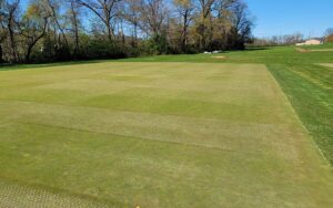 Center for Turfgrass Science