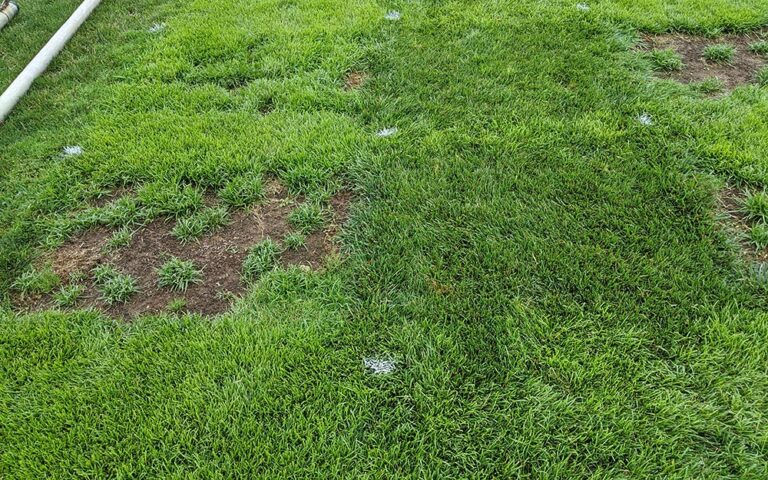 Center for Turfgrass Science