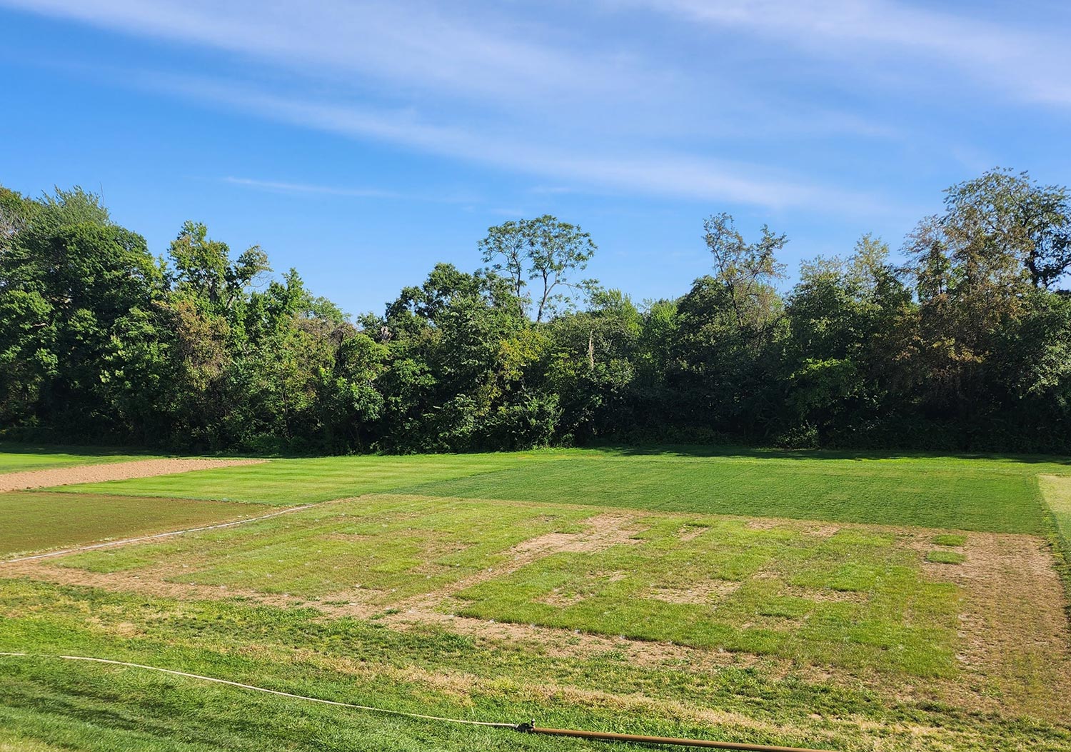 Ming-Yi Chou’s Research Update – Center for Turfgrass Science – Center for Turfgrass Science